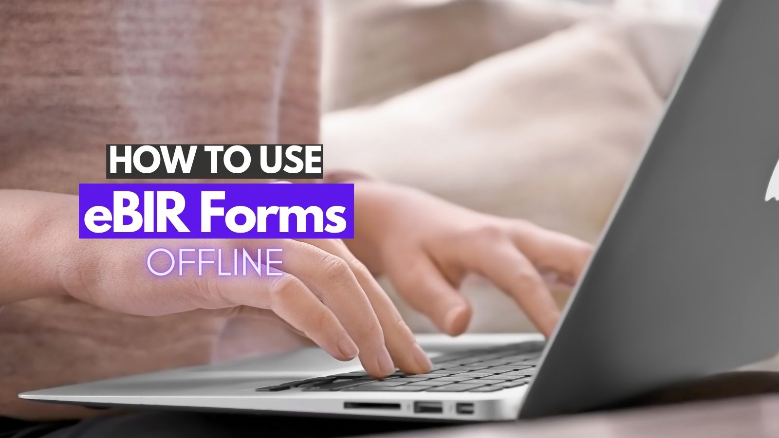 How to Use eBIR Forms Offline (Step-by-Step Guide)